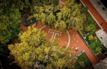 Temple University Transfer and Admissions Information